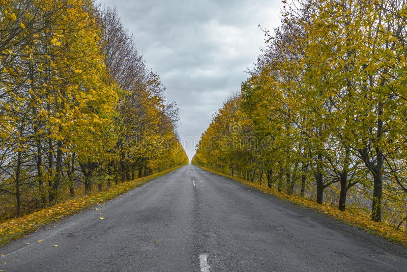 Car Road between Autumn Colorful Trees. Perspective View To Far Stock ...