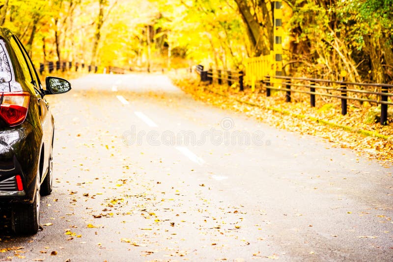 Car on the Road in Autumn Forest Stock Image - Image of nature, road ...