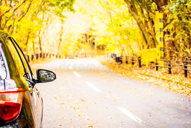 Car on the Road in Autumn Forest Stock Image - Image of nature, road ...