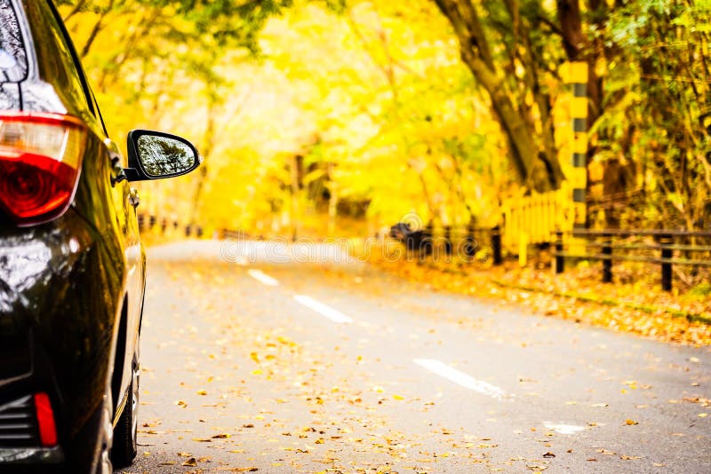Car on the Road in Autumn Forest Stock Photo - Image of season, tree ...