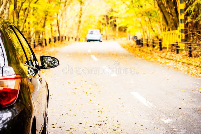 Car on the Road in Autumn Forest Stock Photo - Image of bright, yellow ...
