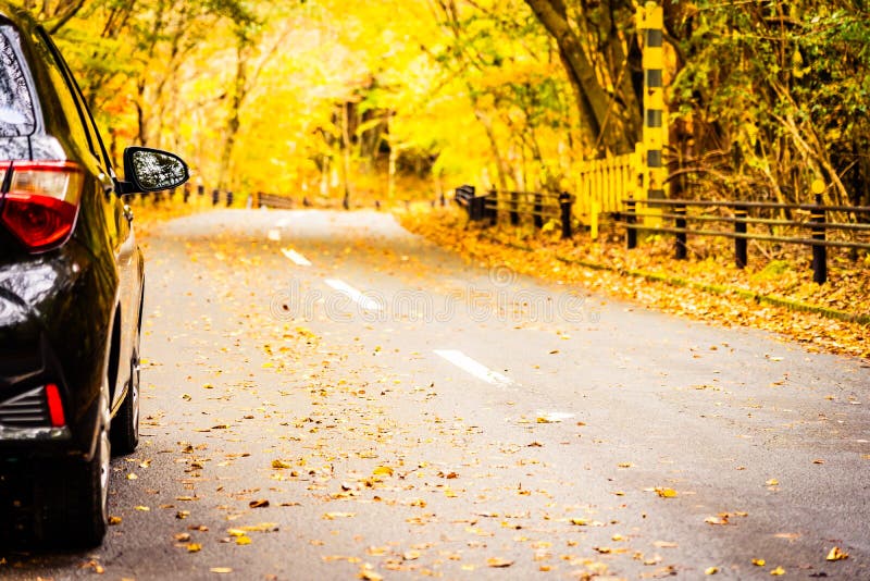 Car on the Road in Autumn Forest Stock Image - Image of autumn, race ...