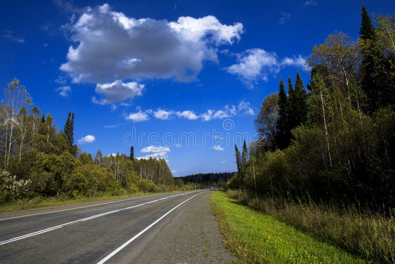 Car on roadside stock photo. Image of asphalt, autocar - 100505754
