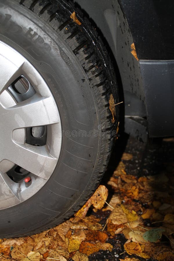 A car tire in the autumn stock image. Image of cost, insurance - 34904559