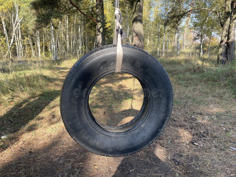 Car Tire on a Rope on a Tree, Handmade Swing in the Autumn Forest Stock ...