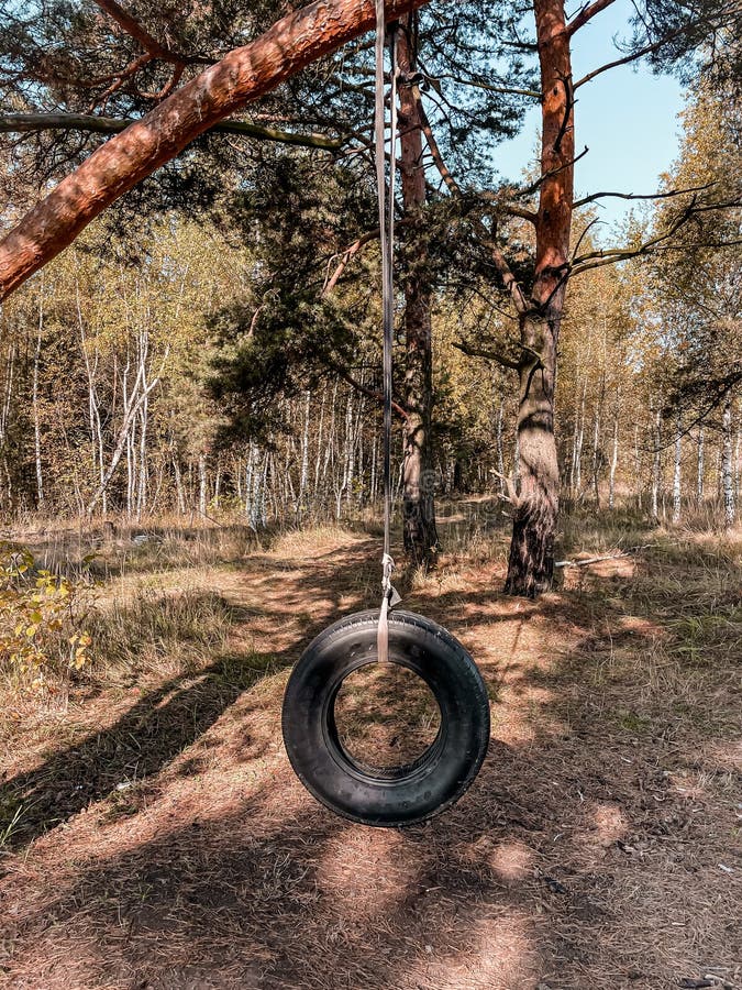 Car Tire on a Rope on a Tree, Handmade Swing in the Autumn Forest Stock ...