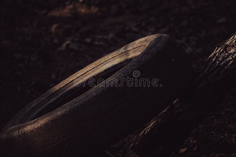 A Tire Slanted Across a Trunk Stock Photo - Image of closeup, concept ...