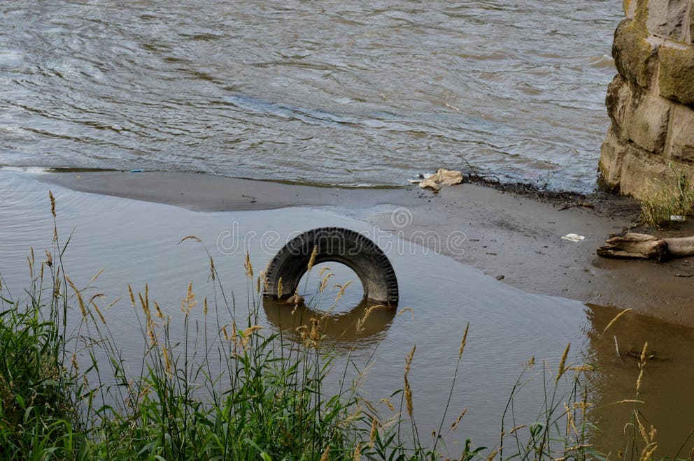 Car Tire Was Thrown into the River Stock Photo - Image of tire ...