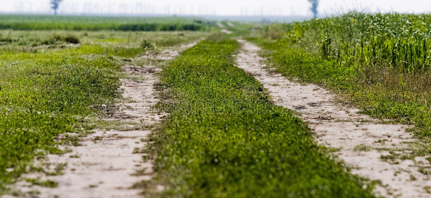 636 Car Tracks Mud Field Stock Photos - Free & Royalty-Free Stock ...