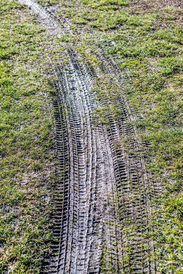 Car track in mud stock image. Image of rough, tracks - 66730989
