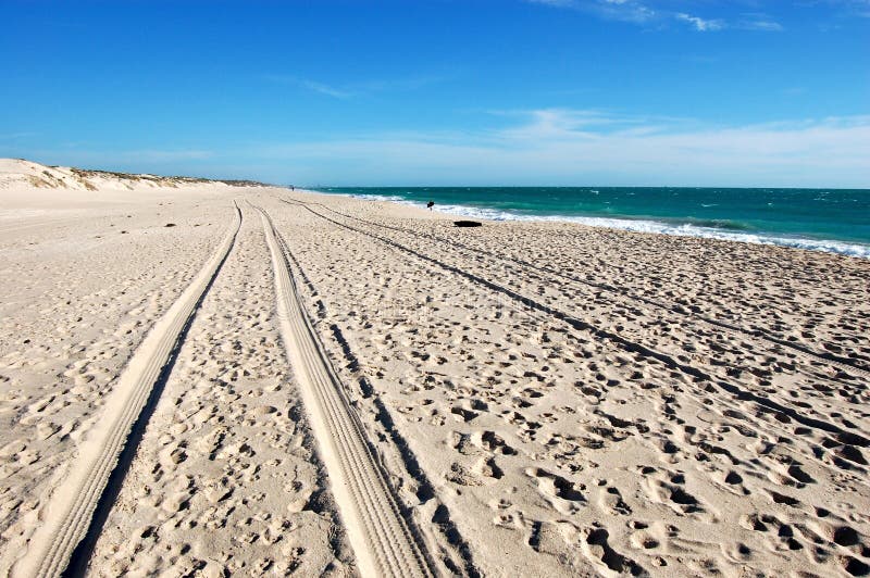 Car Track on White Sand Beach Stock Photo - Image of sand, australia ...