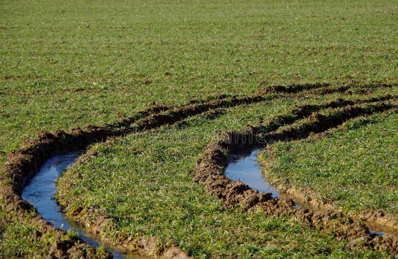 Car tracks in a field stock image. Image of pattern, green - 37755625