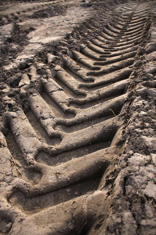 Car tracks on the ground stock image. Image of pattern - 13071703