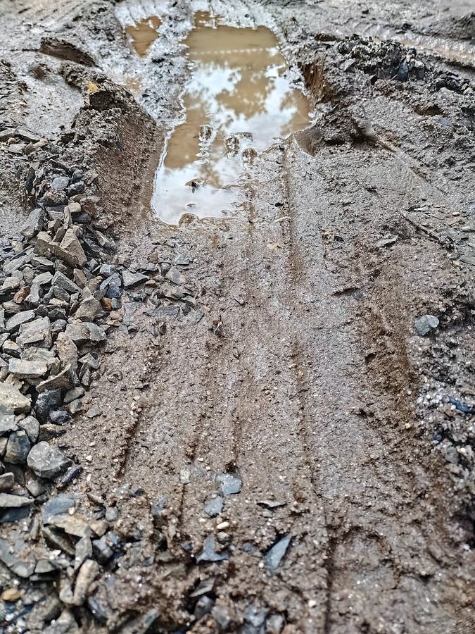 Car tracks in the mud stock photo. Image of soil, wood - 266961286