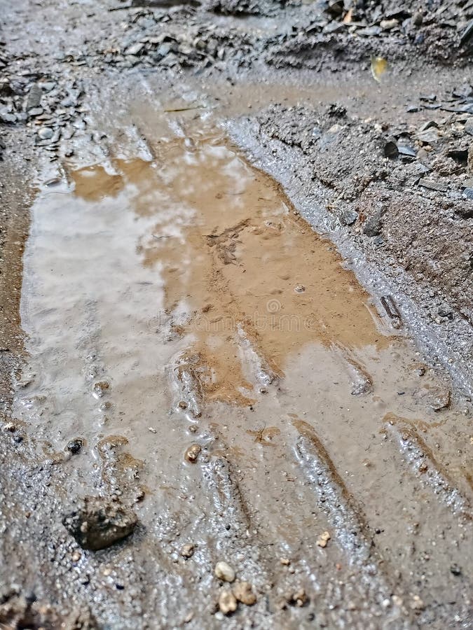 Car tracks in the mud stock image. Image of water, formation - 266961295