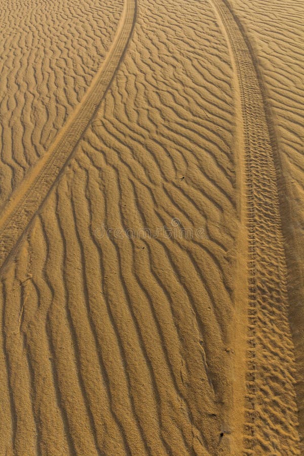Car tracks in a sand dese stock image. Image of sand - 266851825