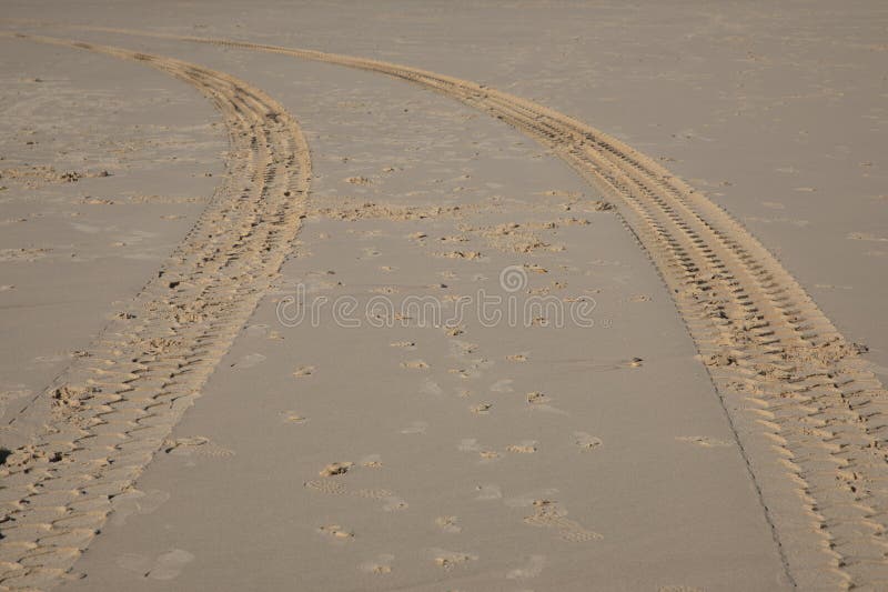 Car Tracks in Sandy Beach Low Tide Sand Desert Stock Photo - Image of ...