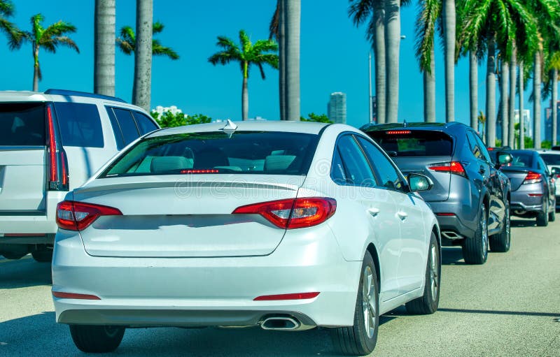 Car Traffic in Miami. Queue of Cars on a Tree-lined Boulevard Stock ...
