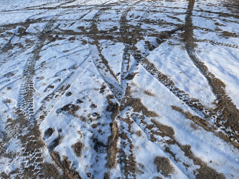 Car Tread Marks on the Sandy Beach Stock Photo - Image of rock ...
