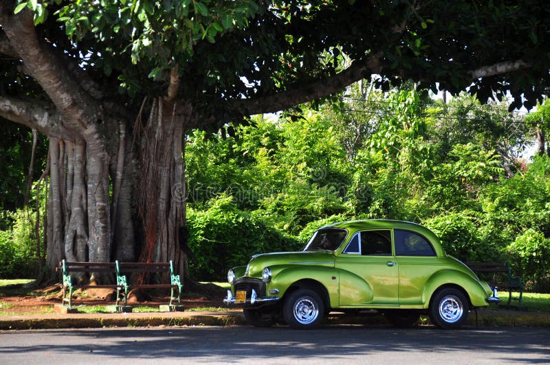 Car and tree stock photo. Image of parking, green, tree - 15698986