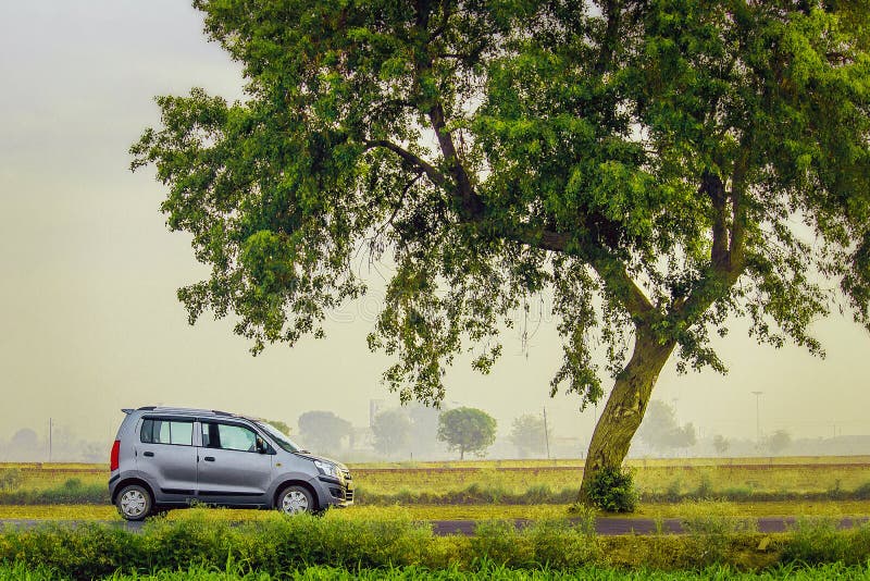 Car with tree stock image. Image of nature, morning, beautiful - 94689485