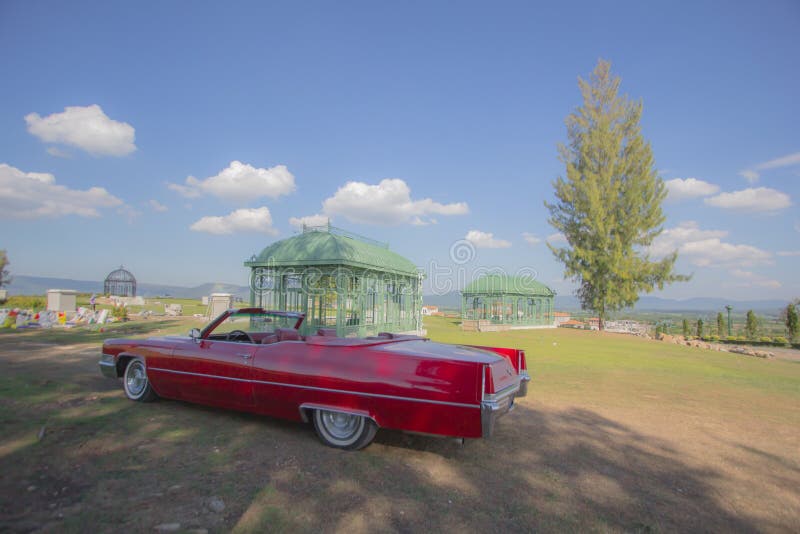 Car Tree Sky stock image. Image of auto, driving, rural - 67534821