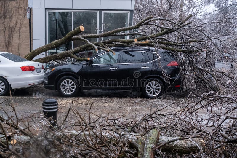 Car Under Broken Icy Tree after Freezing Rain Editorial Stock Photo ...