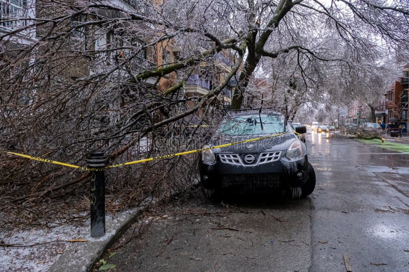 Car Under Broken Icy Tree after Freezing Rain Editorial Image - Image ...