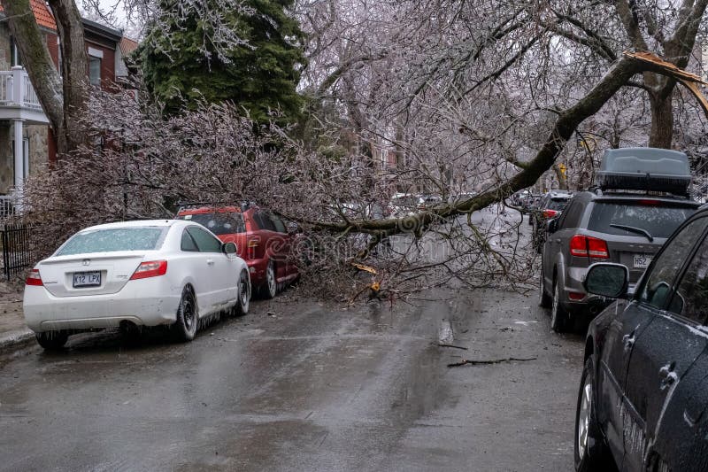 Car Under Broken Icy Tree after Freezing Rain Editorial Photo - Image ...