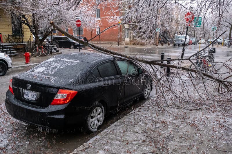Car Under Broken Icy Tree after Freezing Rain Editorial Image - Image ...
