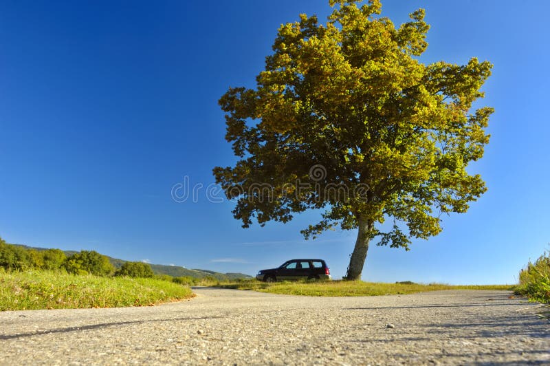 Car under a tree stock image. Image of global, green, rural - 4030461