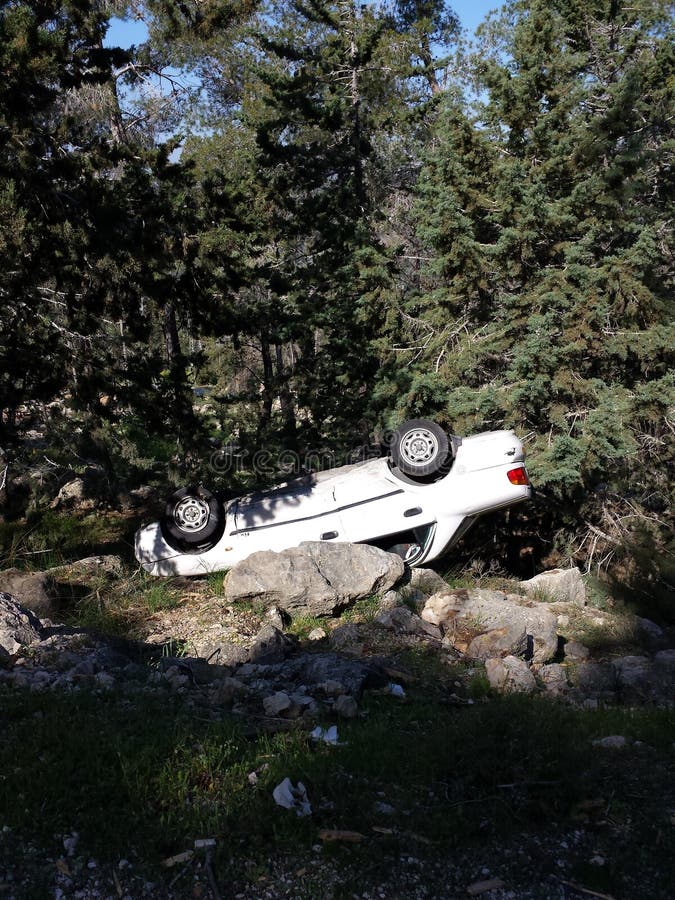 Car Upside Down between Trees Stock Photo - Image of upside, forest ...