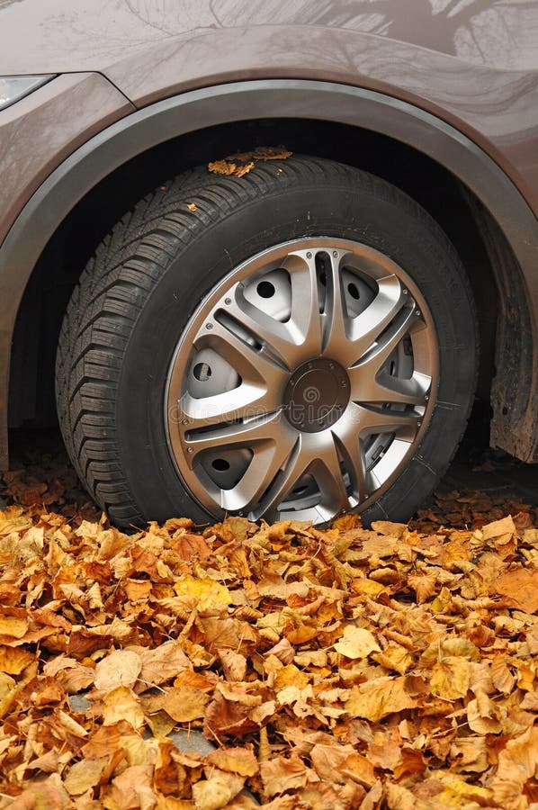 Car wheel in autumn leaves stock image. Image of concept - 24498091