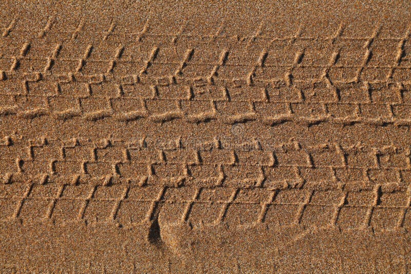 Car Wheel Track on Beach Sand Stock Photo - Image of sandy, 4wding ...