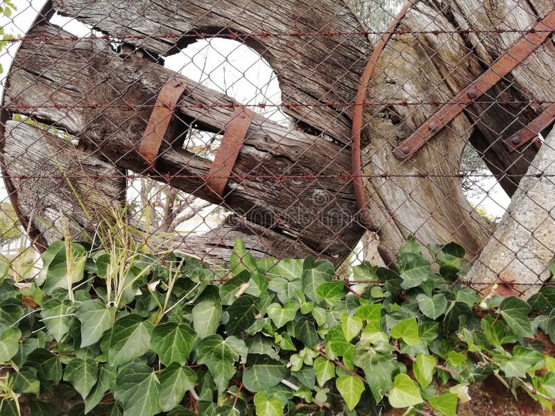 Car wheels, Car wheels with green and brown