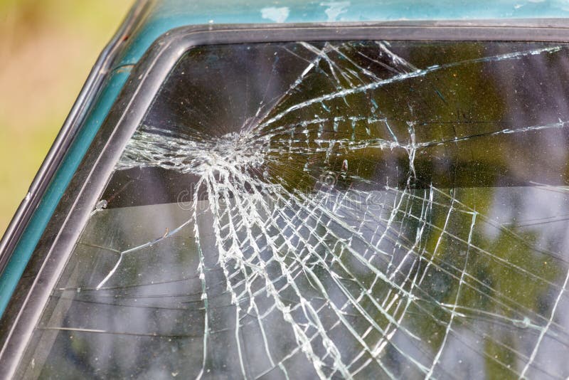 Window Spider stock image. Image of nature, arachnophobia - 243503353