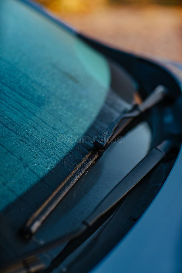 Car Wipers with Water Condensation Stock Photo - Image of windscreen ...
