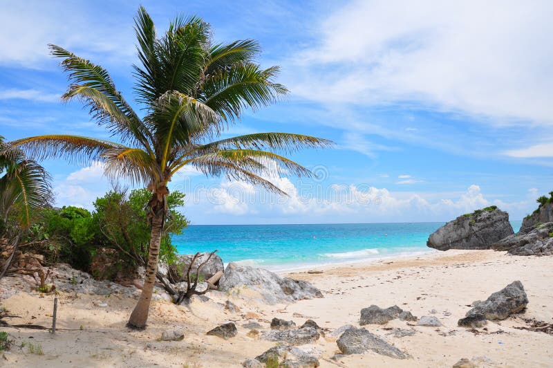 Caraïbisch Strand stock foto. Image of reis, zwemmen - 16416756