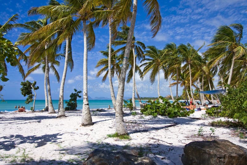 Caraïbisch Strand Met Wit Zand Stock Afbeelding - Image of kustlijn ...