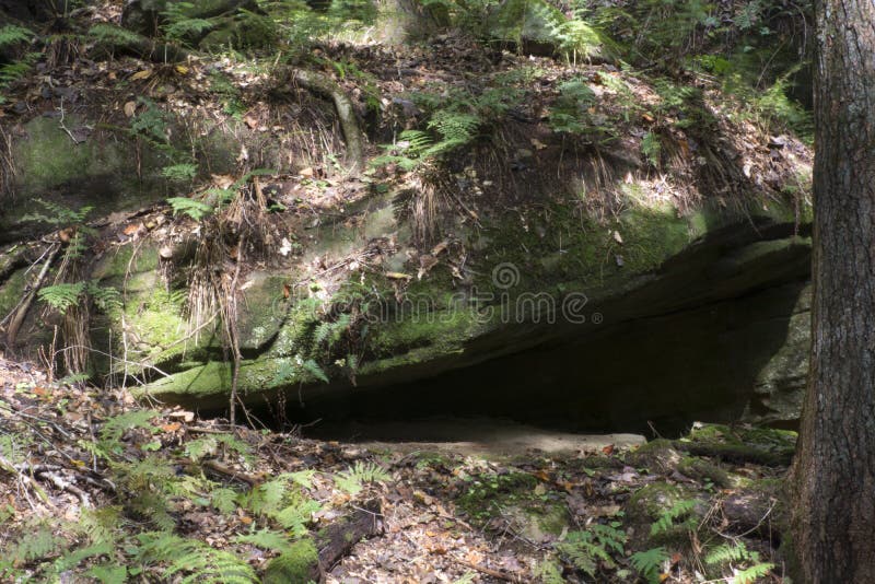 Cara Da Rocha, Conserva De Natureza Oca De Conkles Foto de Stock ...