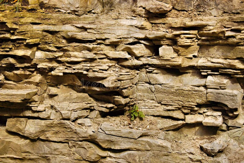 Cara acodada de la roca foto de archivo. Imagen de geología - 76900914