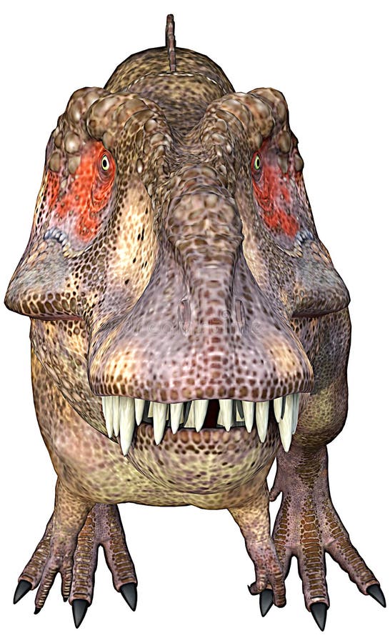 Cara Del Tiranosaurio Cabeza Enojada Del Dinosaurio Frente De T-Rex ...