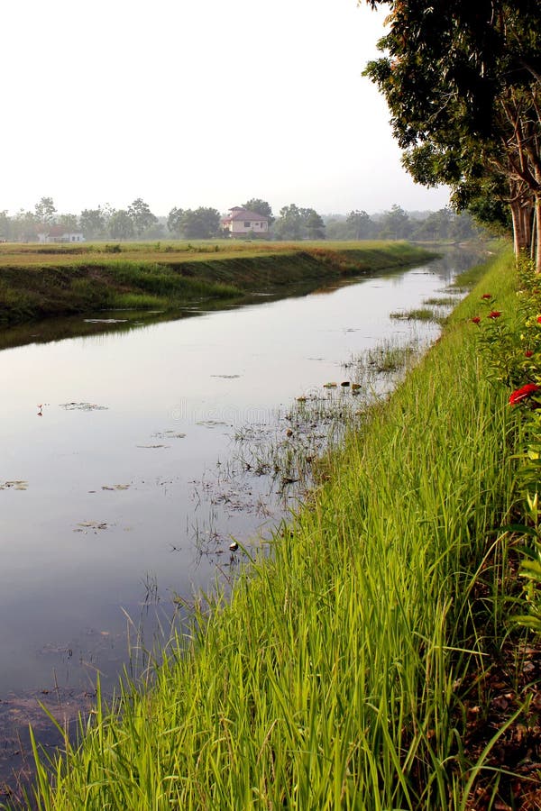 Cara del río imagen de archivo. Imagen de exterior, hierba - 14048907