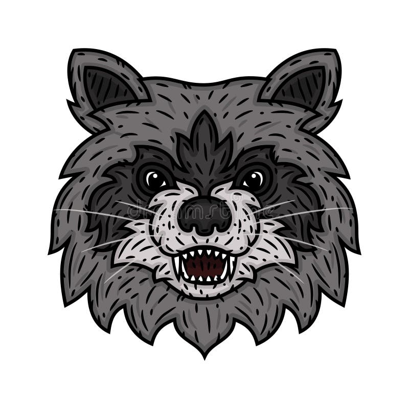 Mapache enojado ilustración del vector. Ilustración de furioso - 14426418