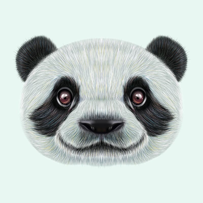Cara ilustrada da panda ilustração stock. Ilustração de fundo - 108247235