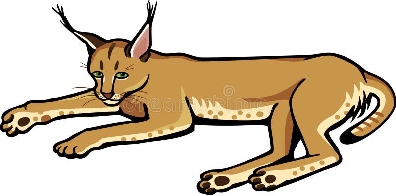 Caracal se couchant illustration de vecteur. Illustration du animal ...