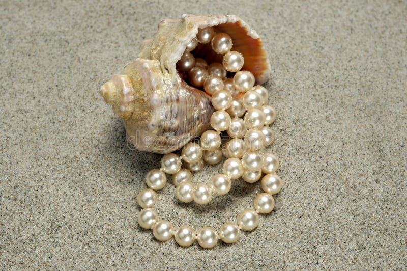 Caracol Con Las Perlas En La Playa Imagen de archivo - Imagen de ...