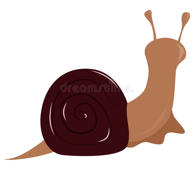 Caracol simple del vector ilustración del vector. Ilustración de ...