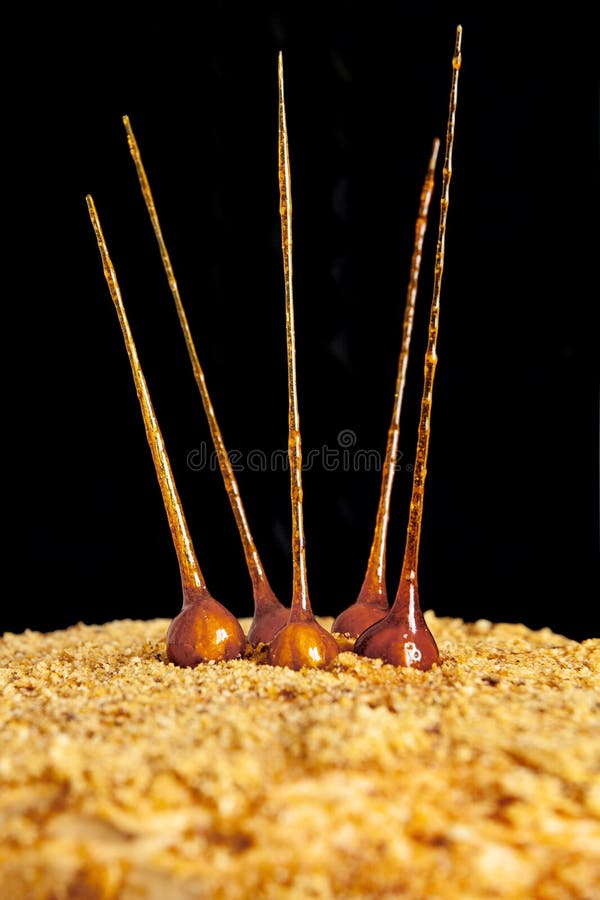 Five Caramel Hazelnuts Glass for Cake Decoration on a Black Background ...
