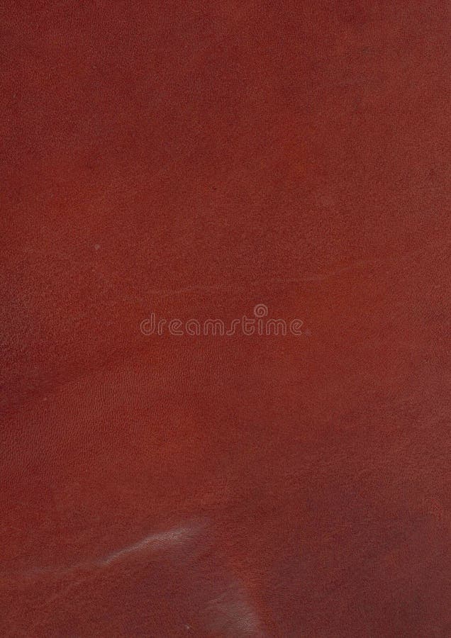 Caramel leather stock photo. Image of floor, caramel - 265893930